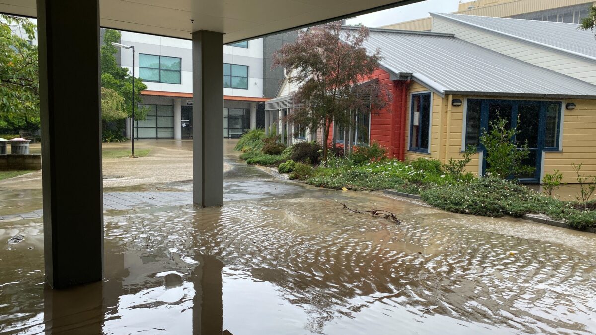 Napier campus likely to be closed for three months – Kaitiaki Nursing ...
