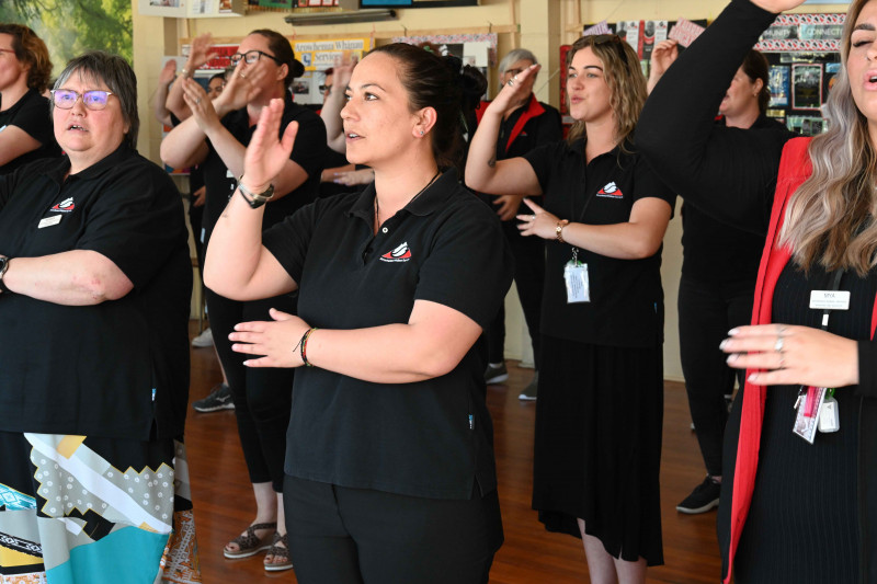 Budget 2023: Bigger investment needed to boost Māori, Pacific nursing ...