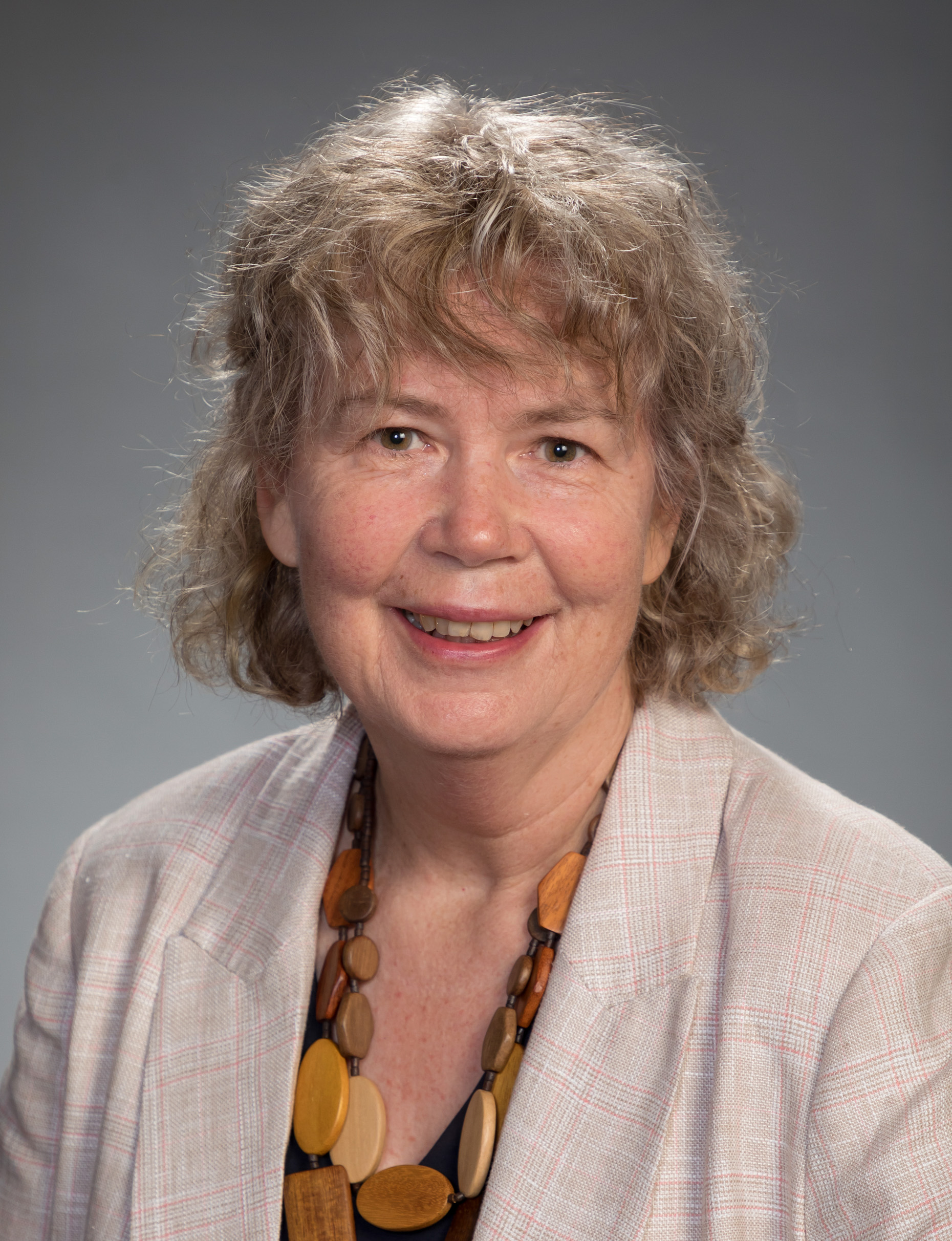 How can we fund the public health system we need? – Kaitiaki Nursing ...