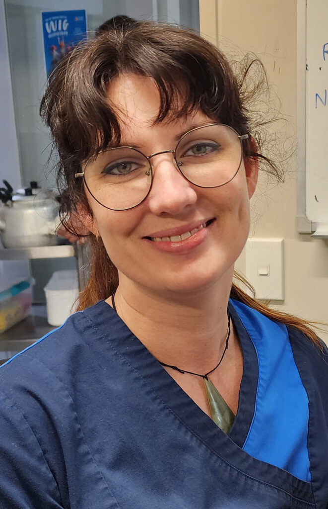 Election 2023: Nurses take the political pulse – Kaitiaki Nursing New ...