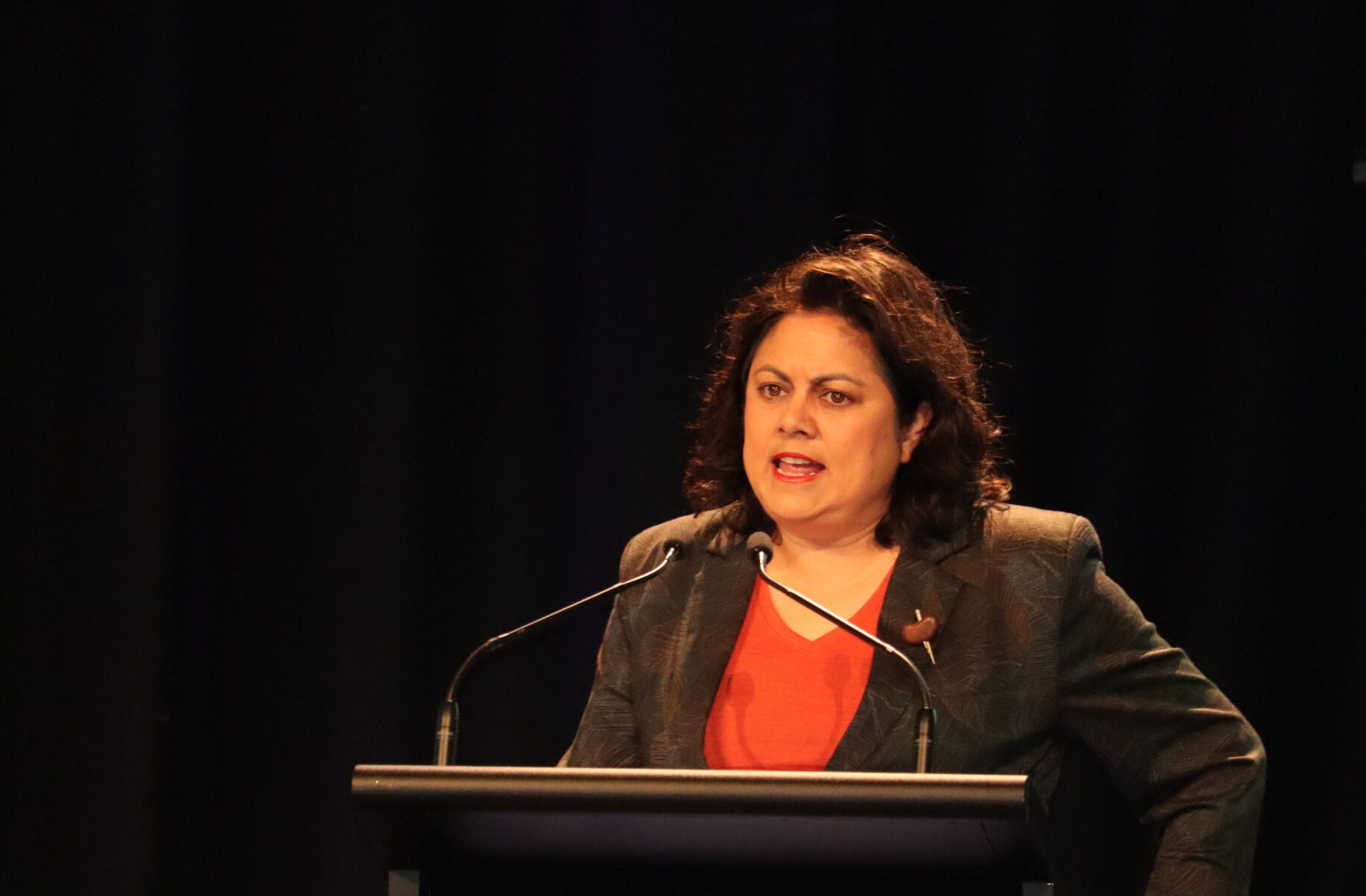 Minister’s diagnosis: Health system ‘in recovery’ but risk of relapse ...