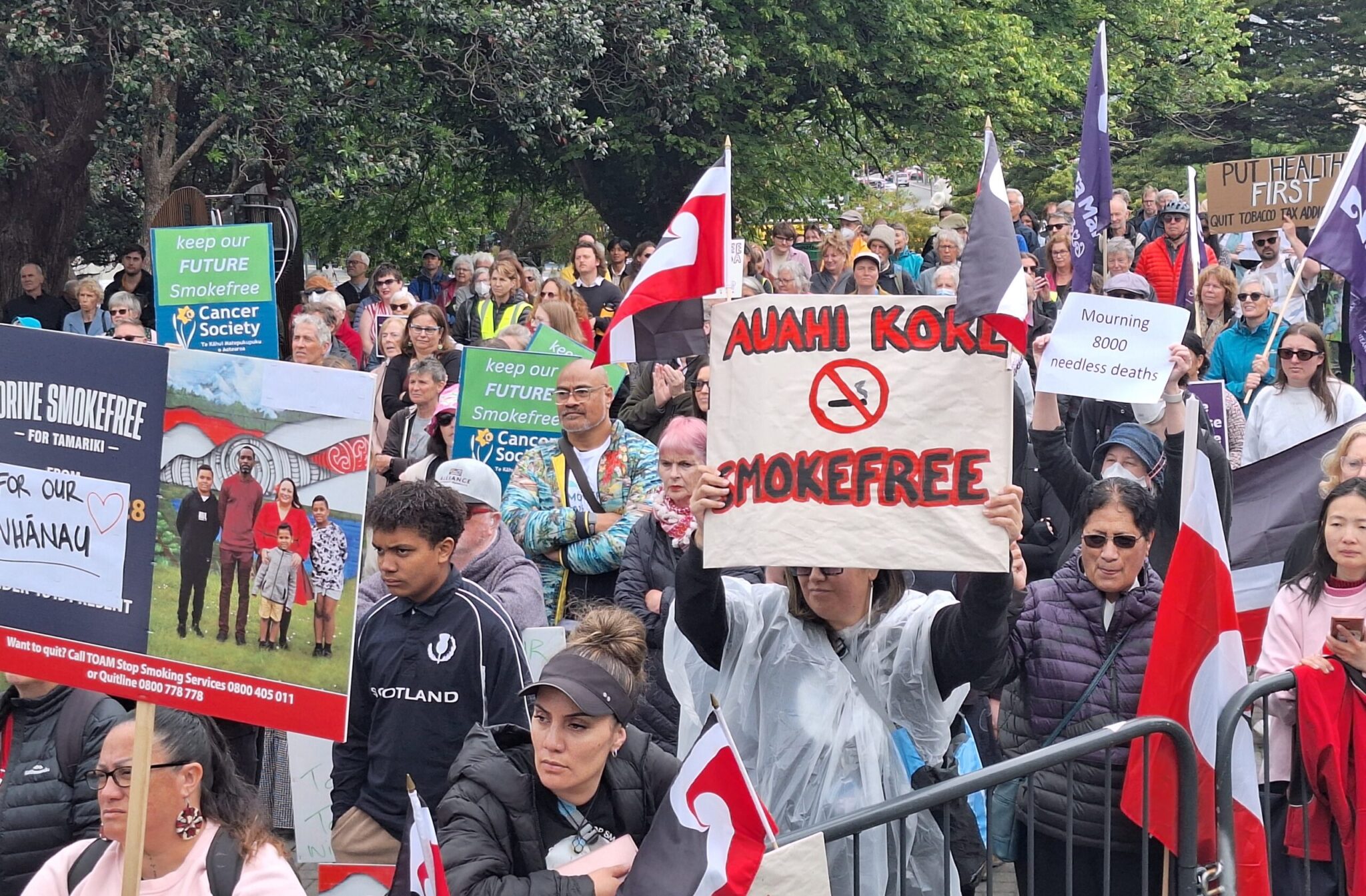 ‘Dirty back-room deal’ — nurses, health workers and Māori rally over ...