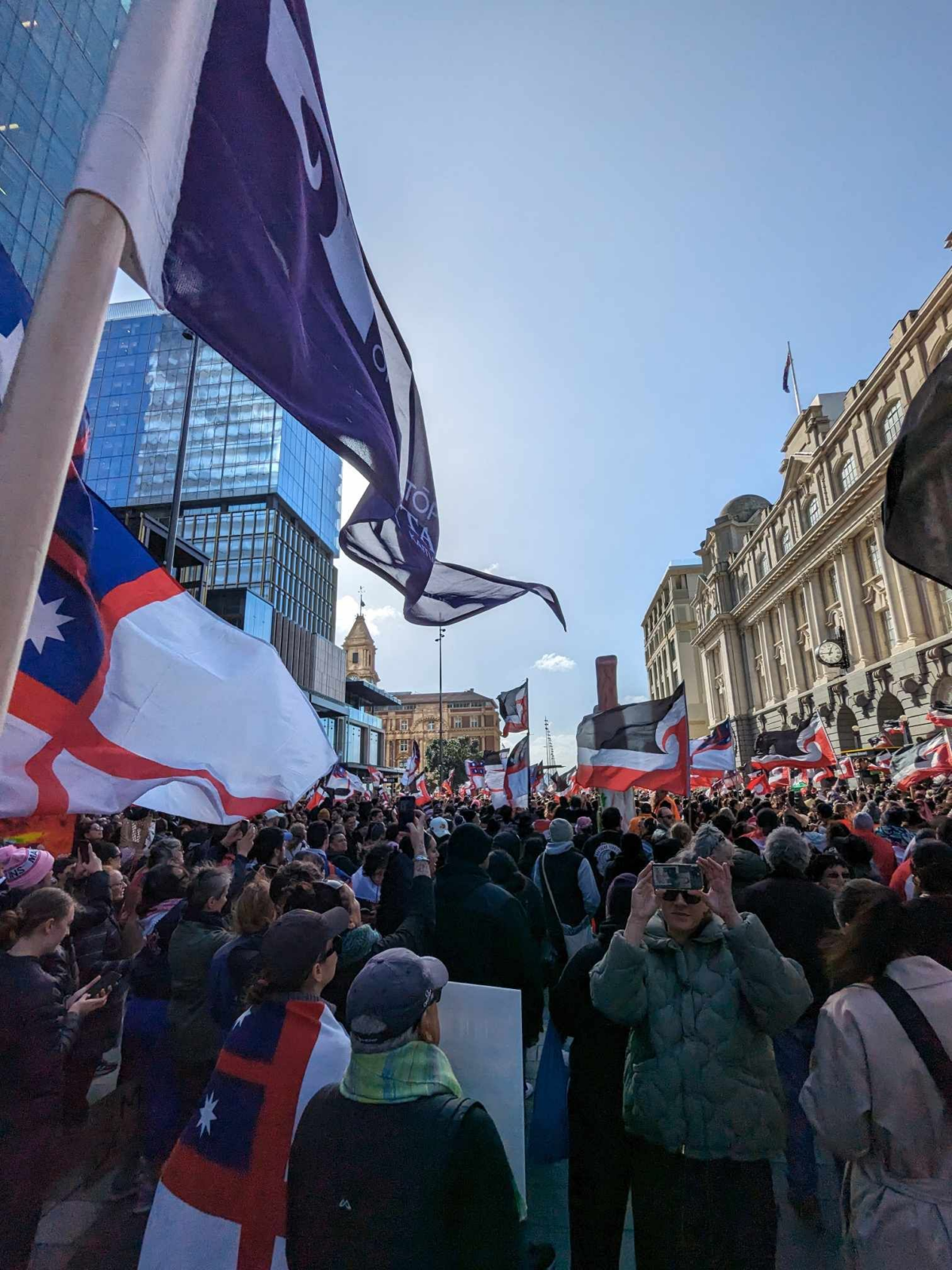 ‘We stand in solidarity’: Nurses and kaiāwhina turn out in support of ...