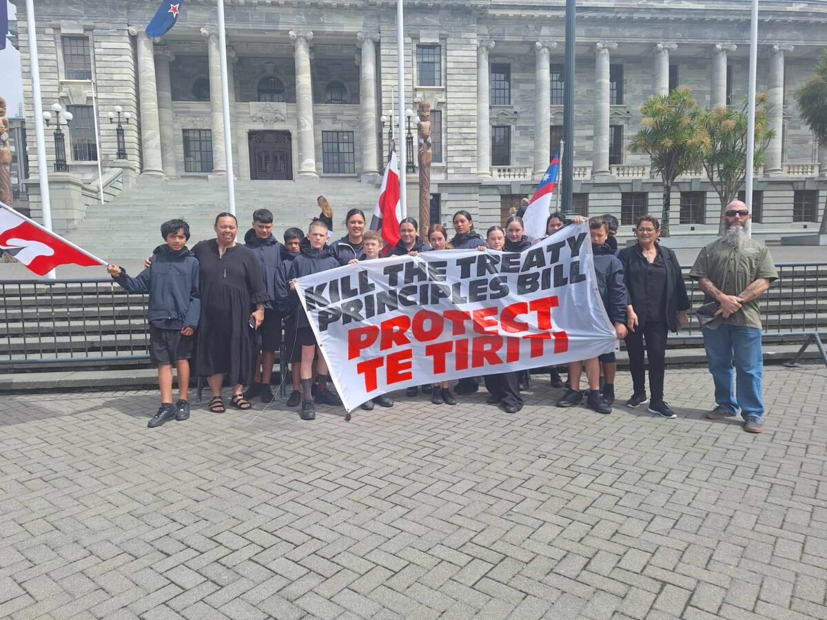 Rally hears voices of whānau under attack by Govt – Kaitiaki Nursing ...