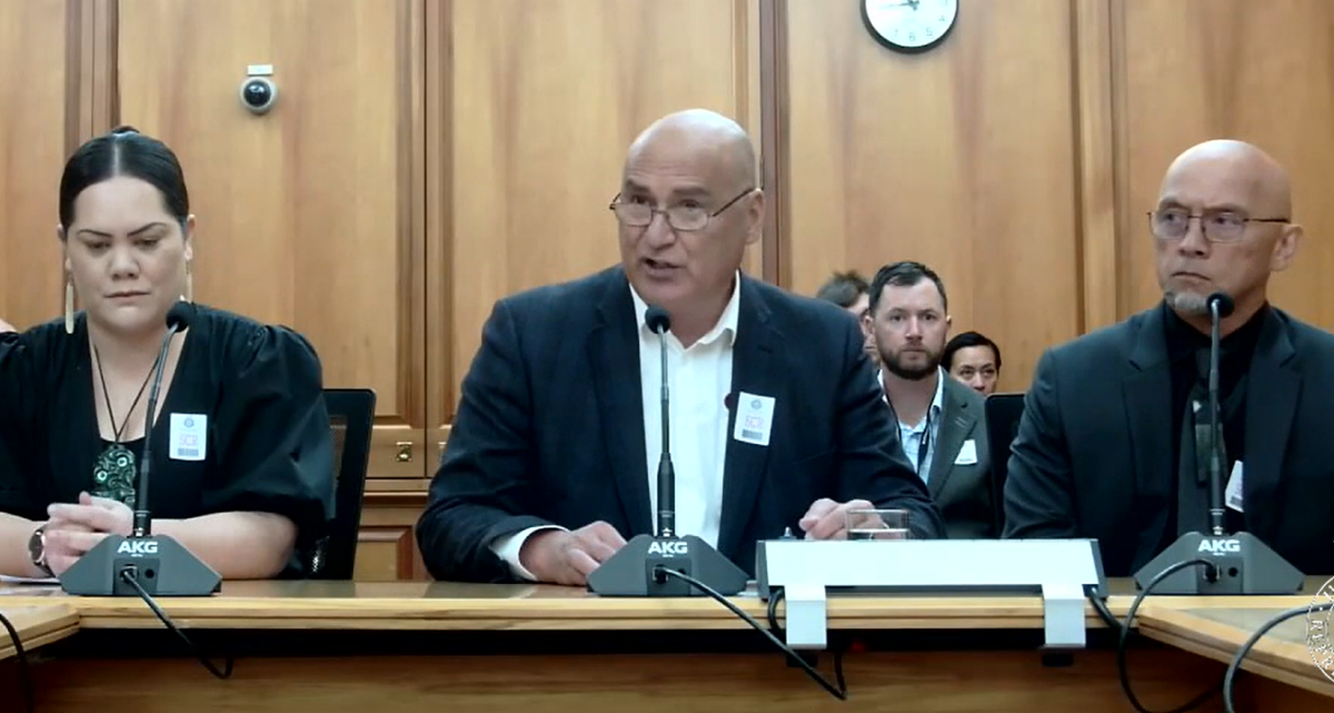 ‘It plays with lives, especially Māori lives’ – NZNO – Kaitiaki Nursing ...