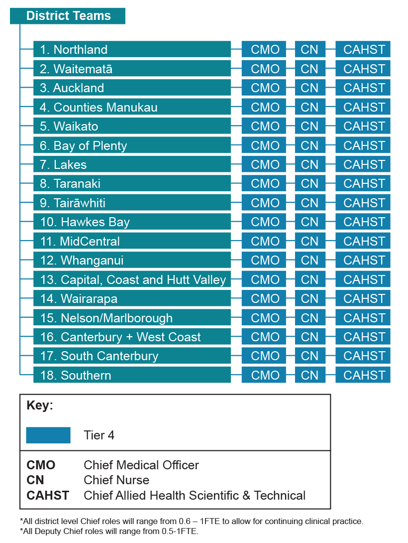 Te Whatu Ora scraps proposed nursing leadership cuts – Kaitiaki Nursing ...