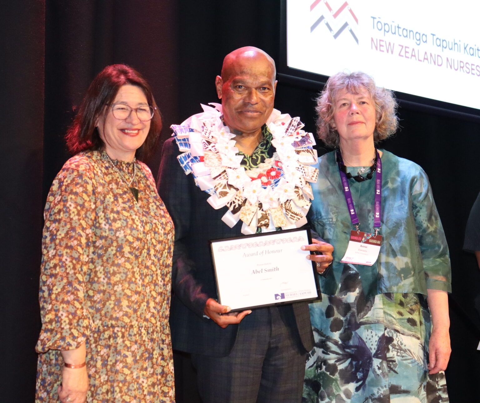 Mental health, Pacific, emergency nurses among those honoured in ...