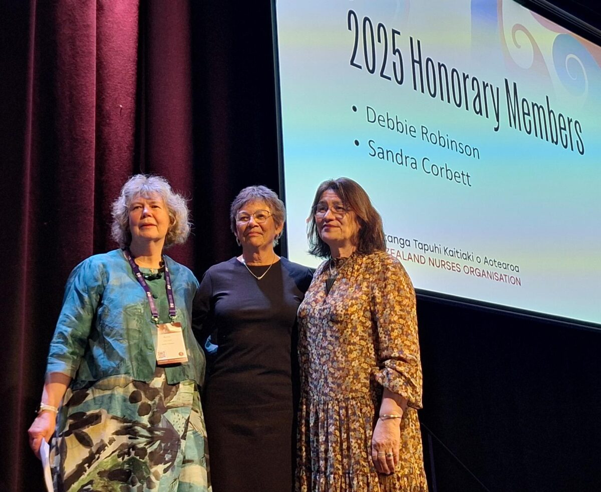 Mental health, Pacific, emergency nurses among those honoured in ...