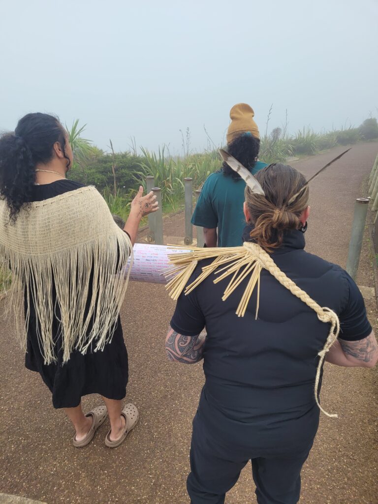 Buller Declaration gets some northern wairua – Kaitiaki Nursing New Zealand