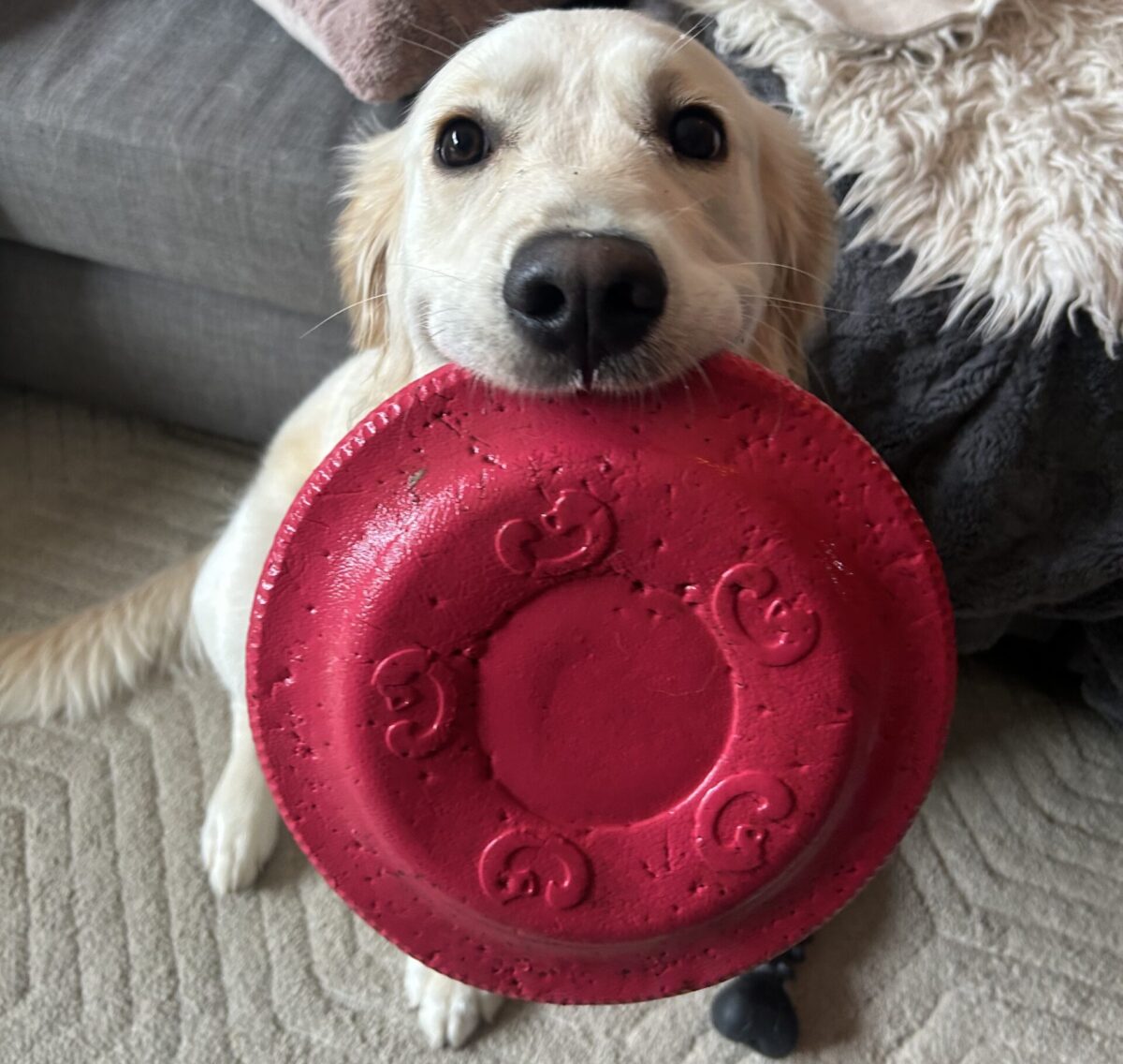 Lilah: She helped me through long nights of study to my theatre nursing ...