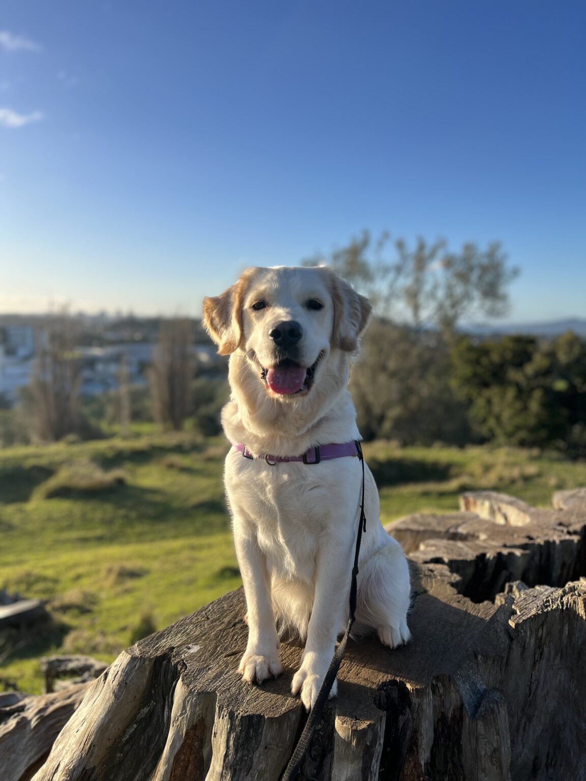 Lilah: She helped me through long nights of study to my theatre nursing ...